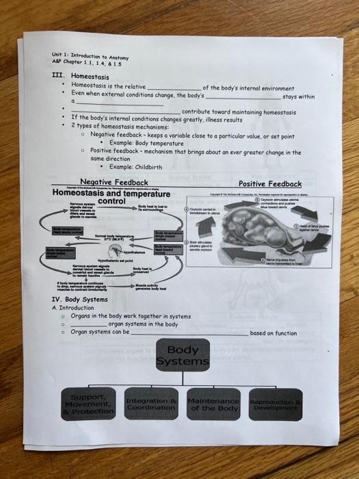 Solved III. Homeostasis - Homeostasis is the relative of the | Chegg.com