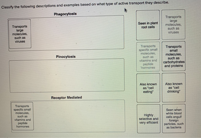 Solved Classify the following descriptions and examples | Chegg.com