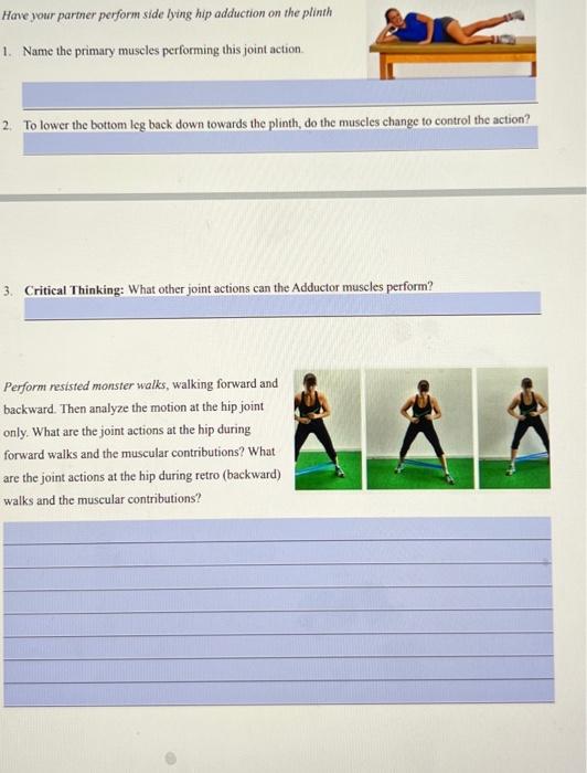 [Solved]: Station 2: Hip Mechanics Perform resisted side ly