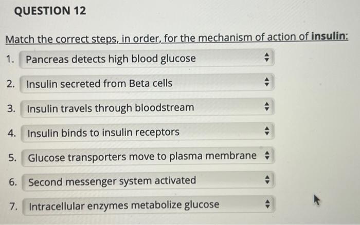 Solved Match the correct steps, in order, for the mechanism | Chegg.com