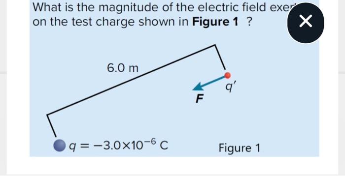 Solved What is the magnitude of the electric field exer on | Chegg.com