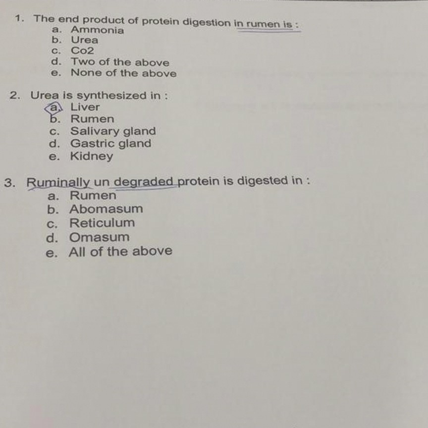 Solved 1. The end product of protein digestion in rumen is: | Chegg.com