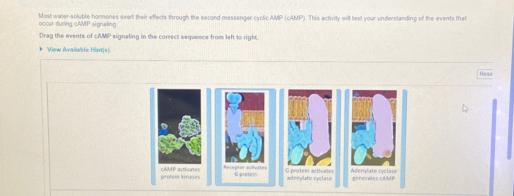 Solved Most water-soluble hormones exert their effects | Chegg.com