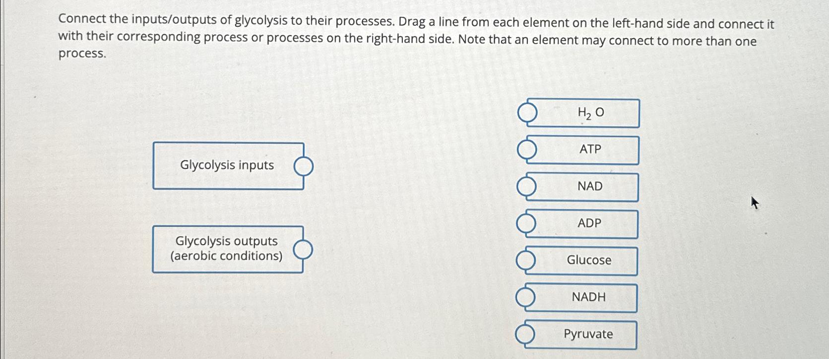 Solved Connect the inputs/outputs of glycolysis to their | Chegg.com