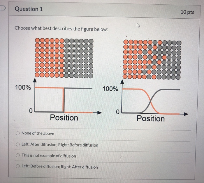 Solved D Question 1 10 pts Choose what best describes the | Chegg.com