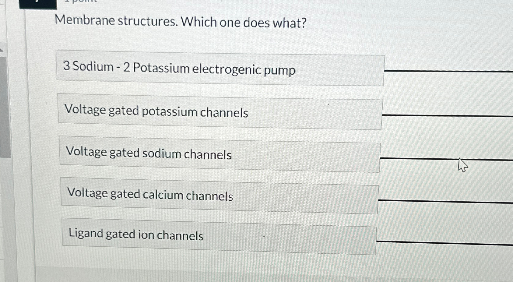 Solved Membrane structures. Which one does what?3 ﻿Sodium | Chegg.com