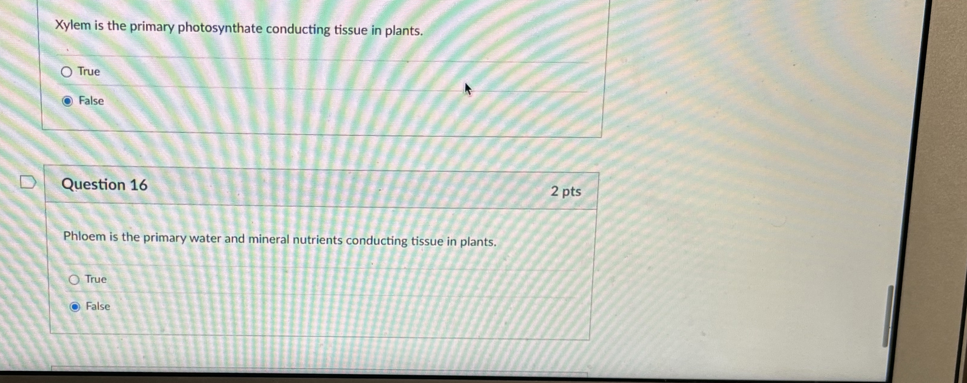 Solved Xylem is the primary photosynthate conducting tissue | Chegg.com