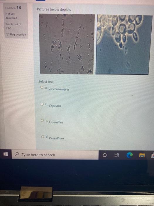Solved Jestion 8 ot yet swered What is the thermal death | Chegg.com Solved Jestion 8 ot yet swered What is the thermal death | Chegg.com