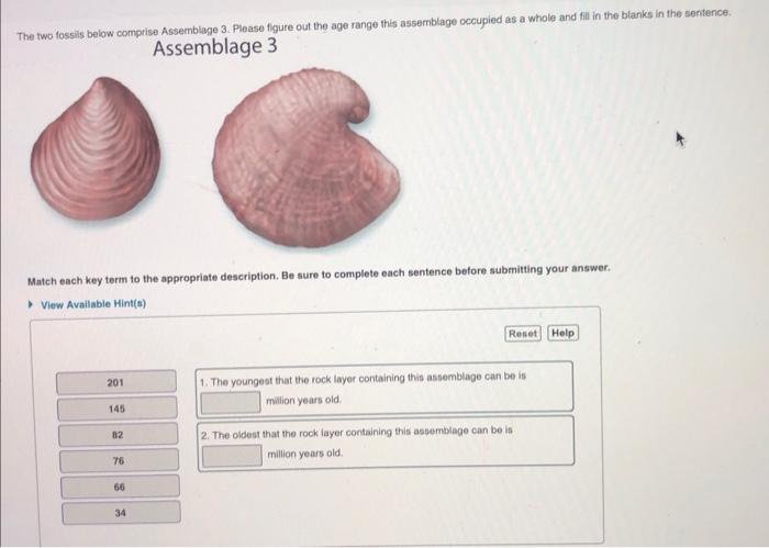 Solved The two fossils below comprise Assembluge 3. Please | Chegg.com