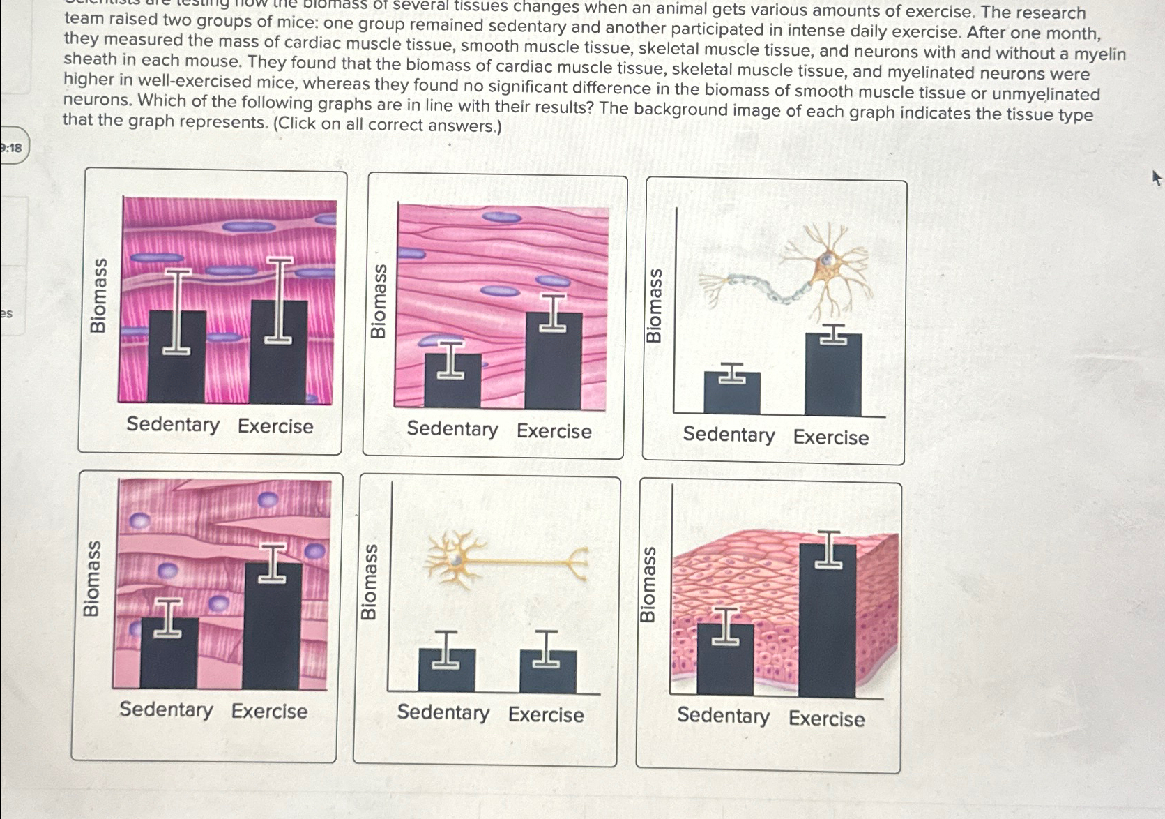 Solved they measured the mass of sheath in each muscle | Chegg.com