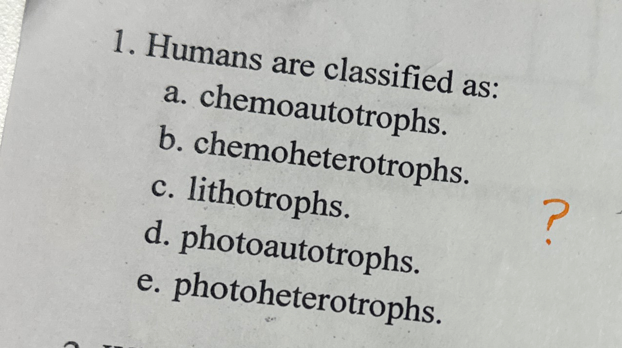 Solved Humans are classified as:a. ﻿chemoautotrophs.b. | Chegg.com