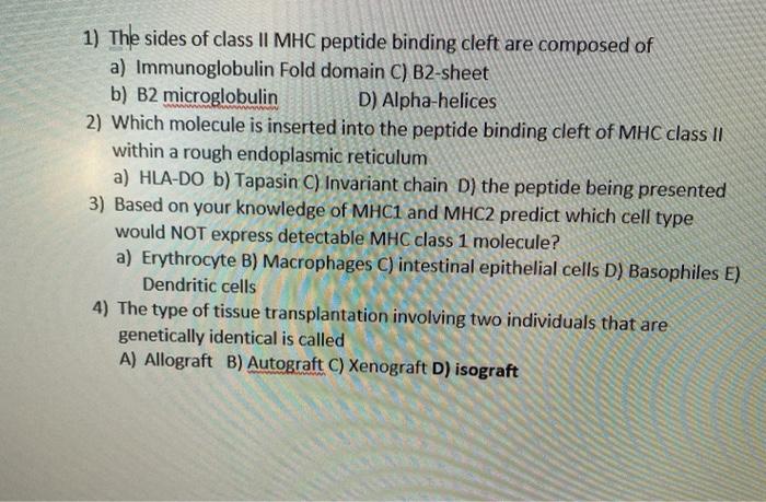 Solved 1) The sides of class II MHC peptide binding cleft | Chegg.com