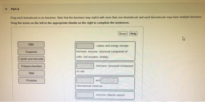 Solved Part A Drag each biomolecule to its functions. Note | Chegg.com