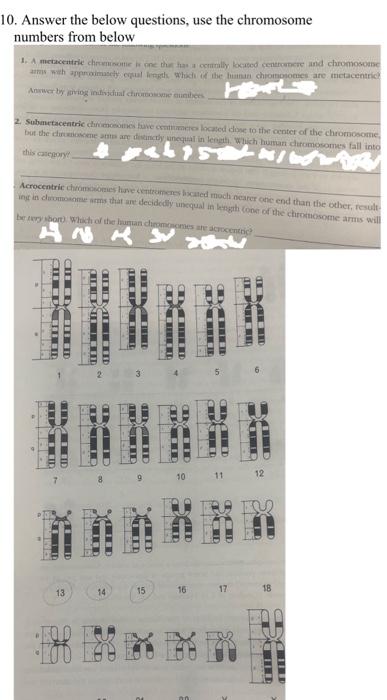 Solved 10. Answer the below questions, use the chromosome | Chegg.com