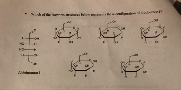 Solved Which of the Haworth structures below represents the | Chegg.com