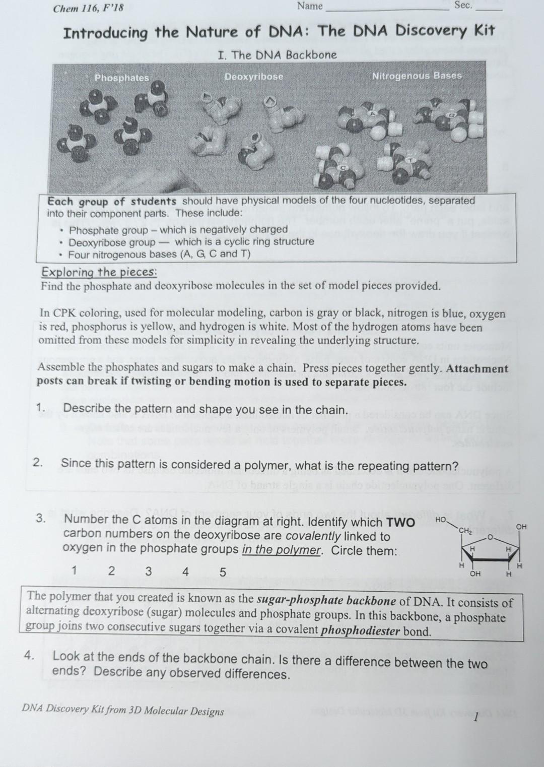 Solved Introducing the Nature of DNA: The DNA Discovery Kit | Chegg.com