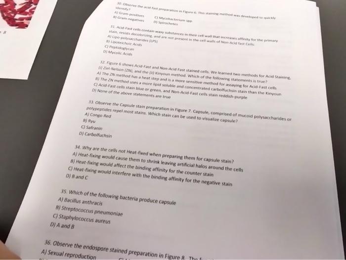 witiont 41 Gient-paicitives C) Bfyinibar Reinaw sho | Chegg.com