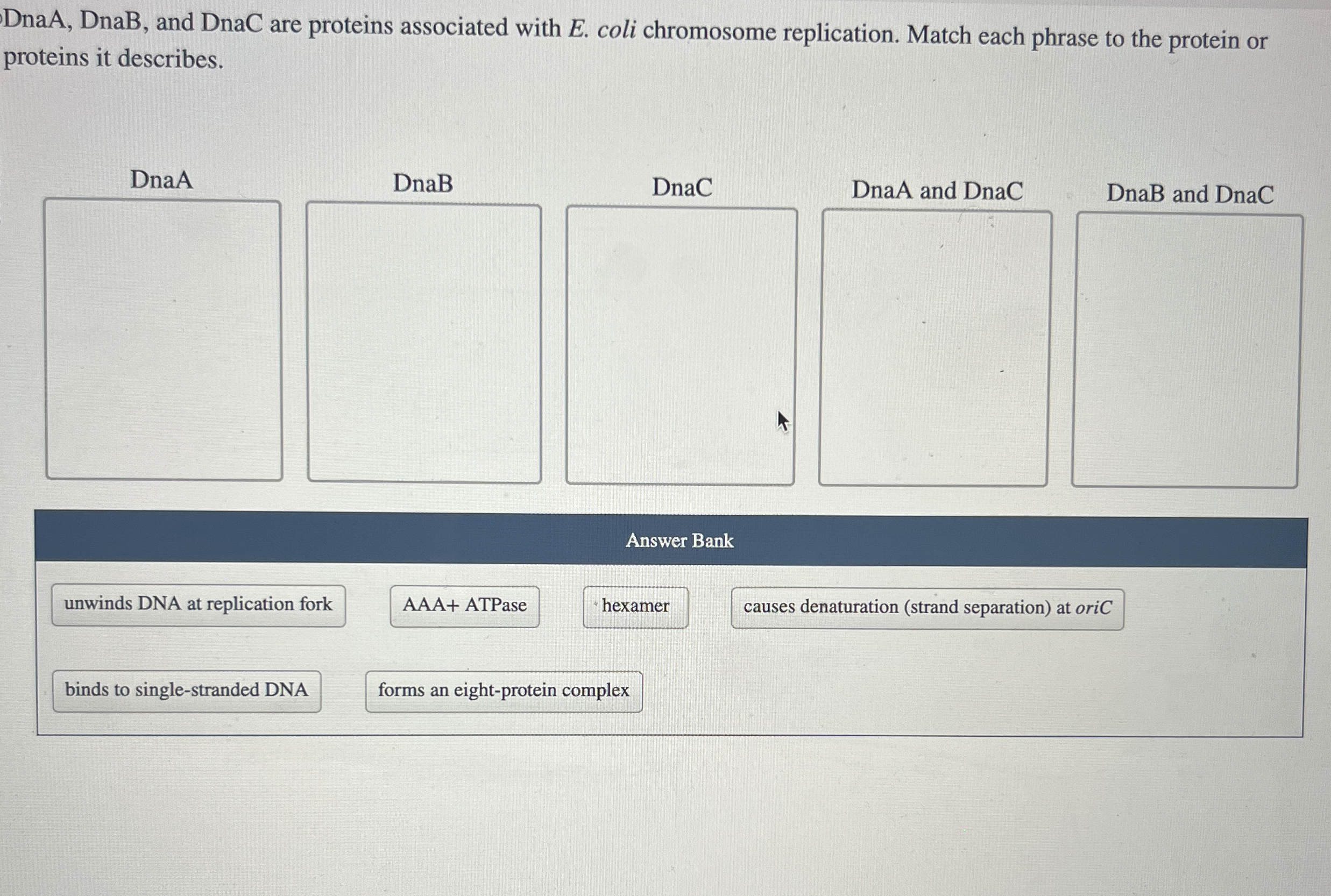 Solved DnaA, DnaB, and DnaC are proteins associated with E. | Chegg.com