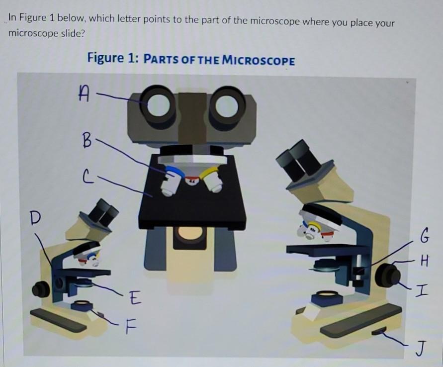 Solved In Figure 1 below, which letter points to the part of | Chegg.com