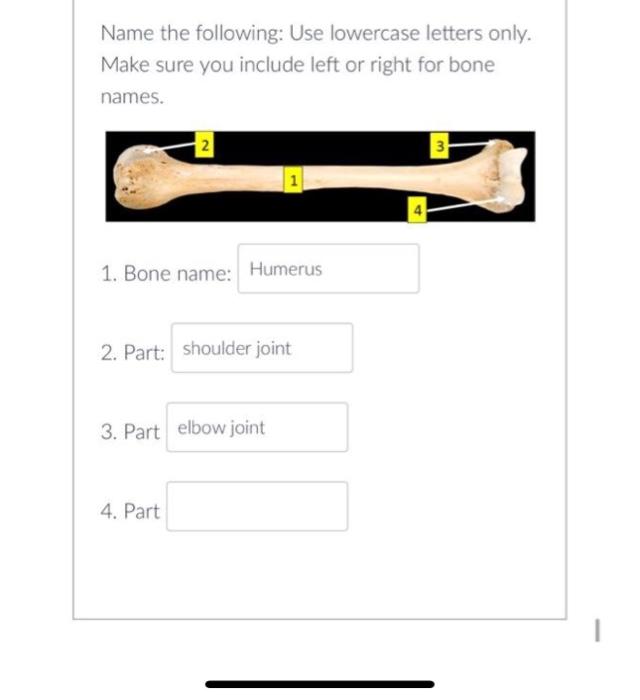 Solved Name the following: Use lowercase letters only. Make | Chegg.com