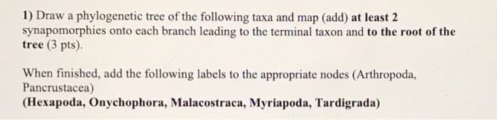 Solved 1) Draw a phylogenetic tree of the following taxa and | Chegg.com