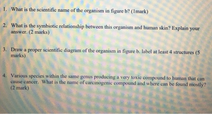 Solved Part 1A: After attending the Protista lab (Lab 2) of | Chegg.com