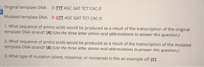 Solved Original template DNA: 3'-TTT AGC GAT TCT CAC-5' 3 | Chegg.com