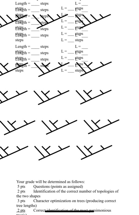 Ex5: Tree Exercise 2 (12 pts) Name You are to use the | Chegg.com
