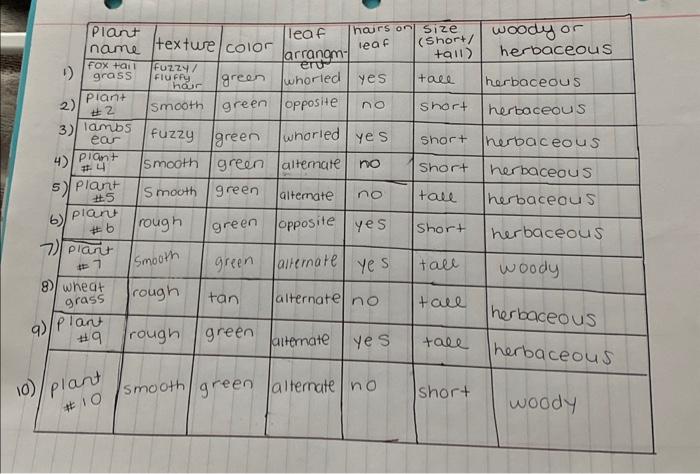 Solved can someone please please help me create a | Chegg.com