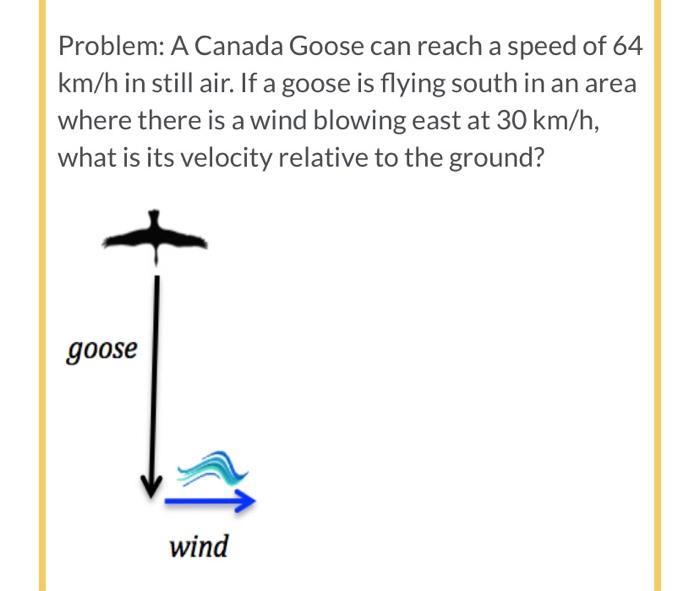 Solved Problem: A Canada Goose can reach a speed of 64 km/h | Chegg.com