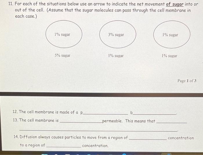 Solved How are the molecules moving in the examples below | Chegg.com