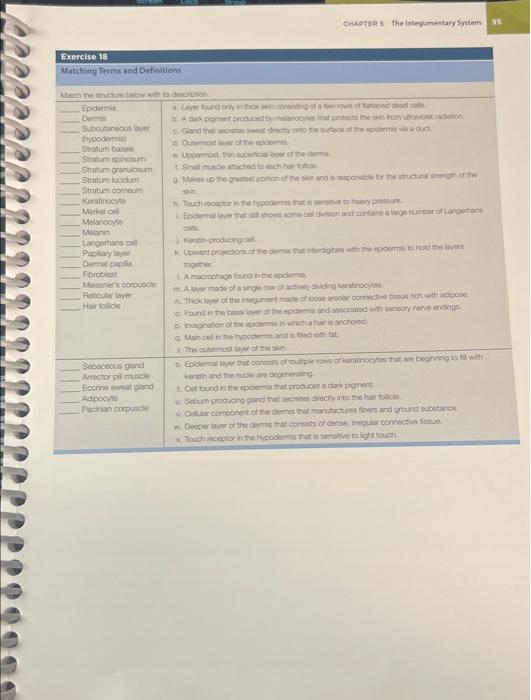 Solved Screen Exercise 18 Matching Terms and Definitions | Chegg.com