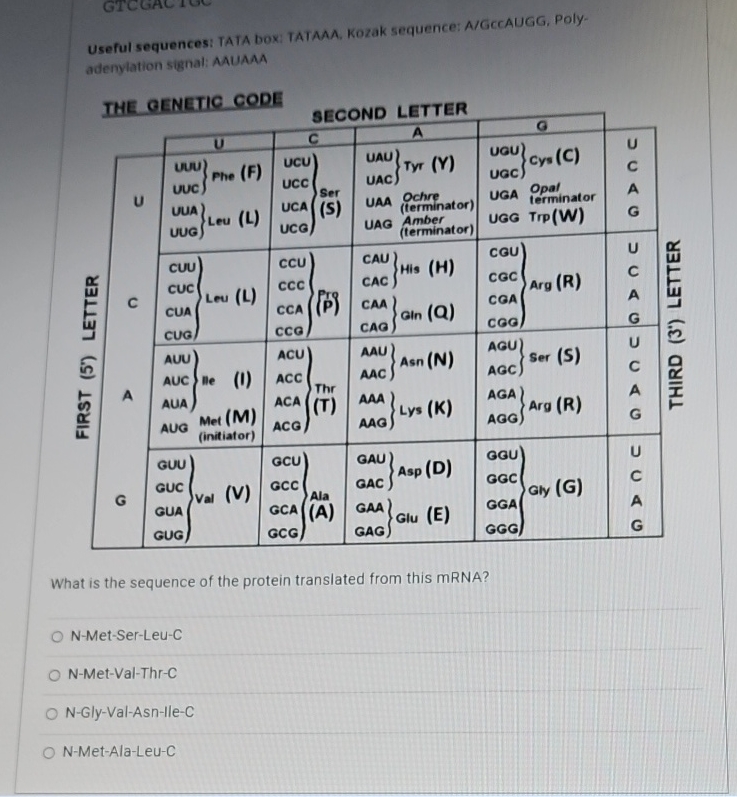 Solved Useful Sequences Tata Box Tataa Kozak Sequence