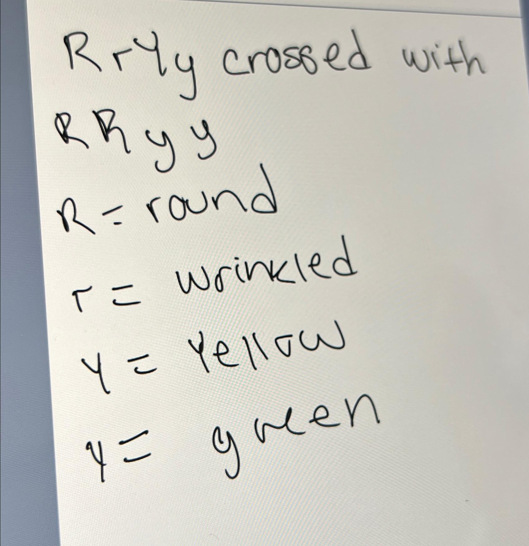 Solved Rrly crossed withRRyyR= ﻿roundr= ﻿wrinkledy= | Chegg.com