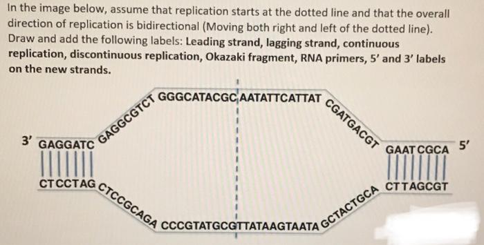 Solved In the image below, assume that replication starts at | Chegg.com Solved In the image below, assume that replication starts at | Chegg.com