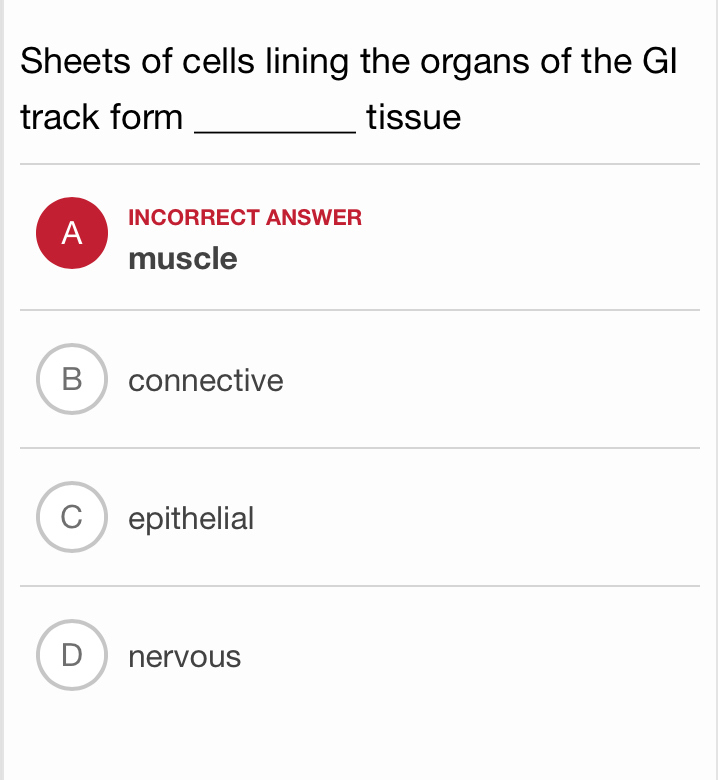 Solved Sheets of cells lining the organs of the Gl track | Chegg.com