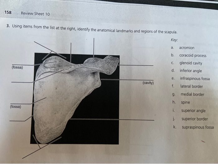 Solved using the items from the list at the rate, identify | Chegg.com