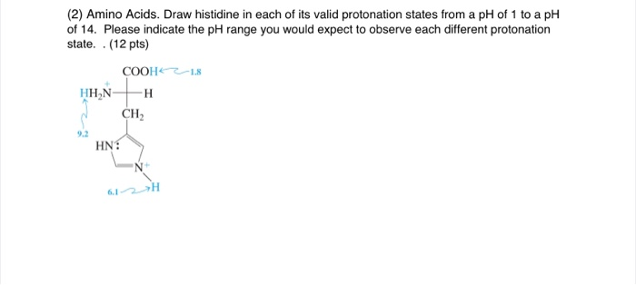 Solved (2) Amino Acids. Draw histidine in each of its valid | Chegg.com