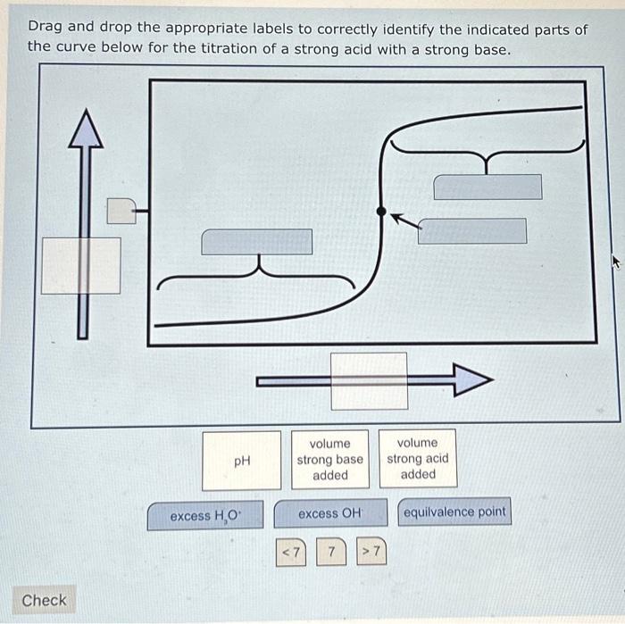 Solved Drag and drop the appropriate labels to correctlv | Chegg.com