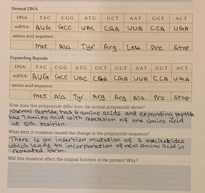 Solved Normal DNA DNA: TAC CGG ATG GCT AAT GGT ACT mRNA: AUG | Chegg.com