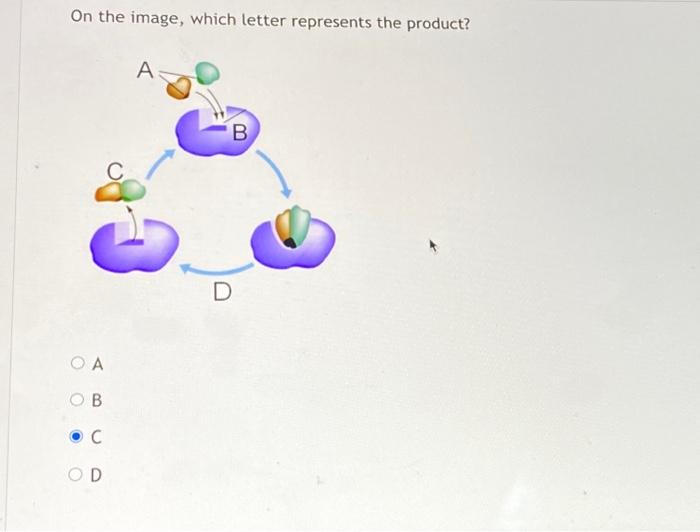 Solved On the image, which letter represents the product? | Chegg.com Solved On the image, which letter represents the product? | Chegg.com