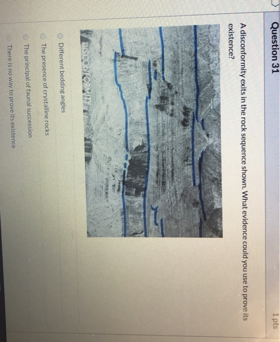 Solved Question 31 1 pts A disconformity exits in the rock | Chegg.com