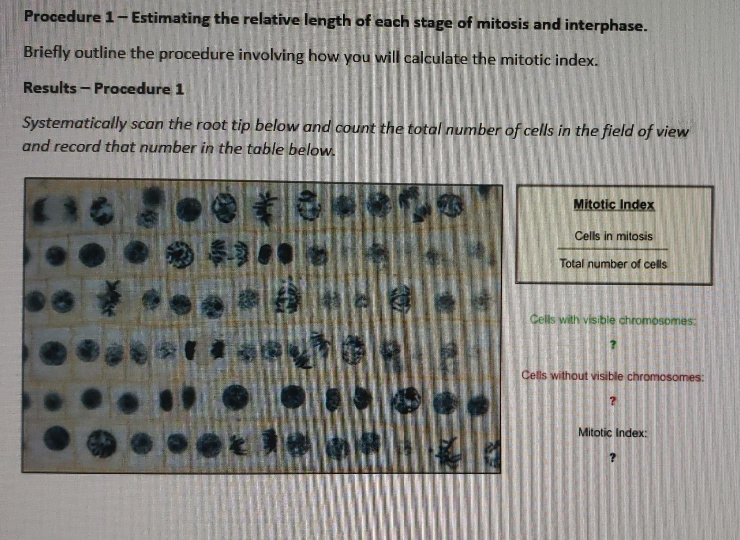 Solved Procedure 1- Estimating the relative length of each | Chegg.com