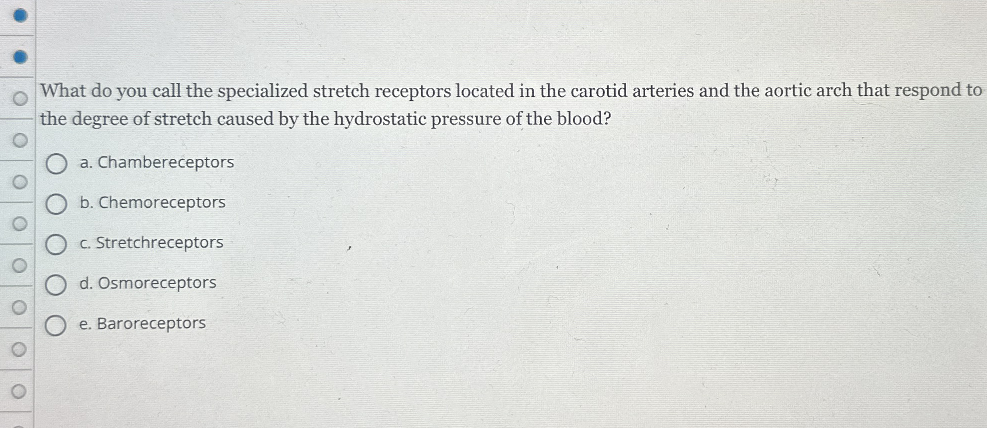 Solved What do you call the specialized stretch receptors | Chegg.com
