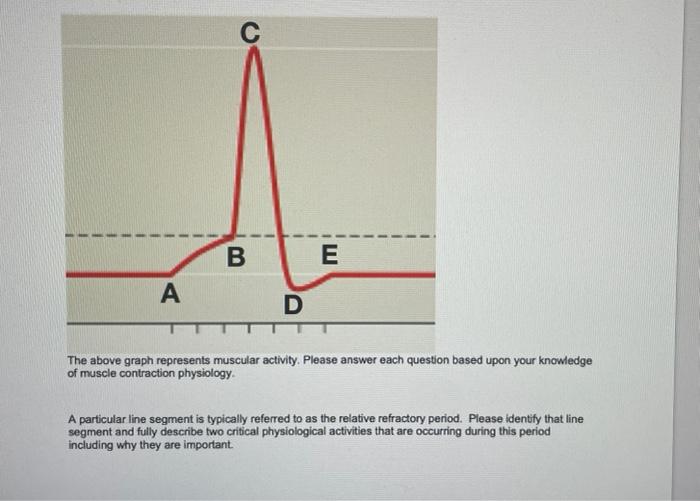 Solved The above graph represents muscular activity. Please | Chegg.com