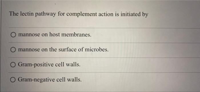 Solved The lectin pathway for complement action is initiated | Chegg.com