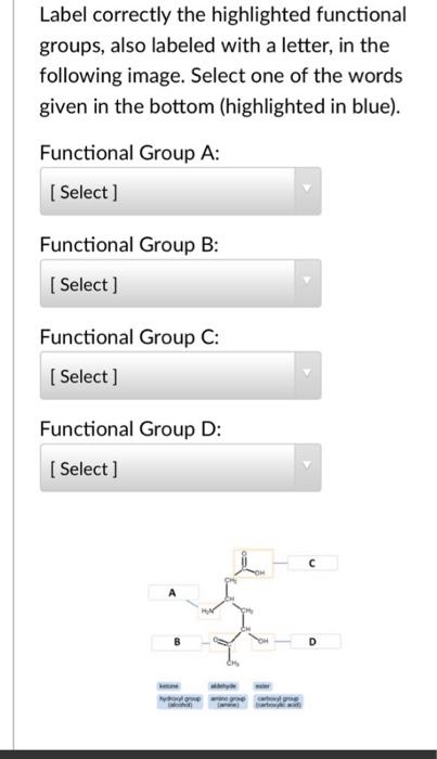 Solved Label correctly the highlighted functional groups, | Chegg.com