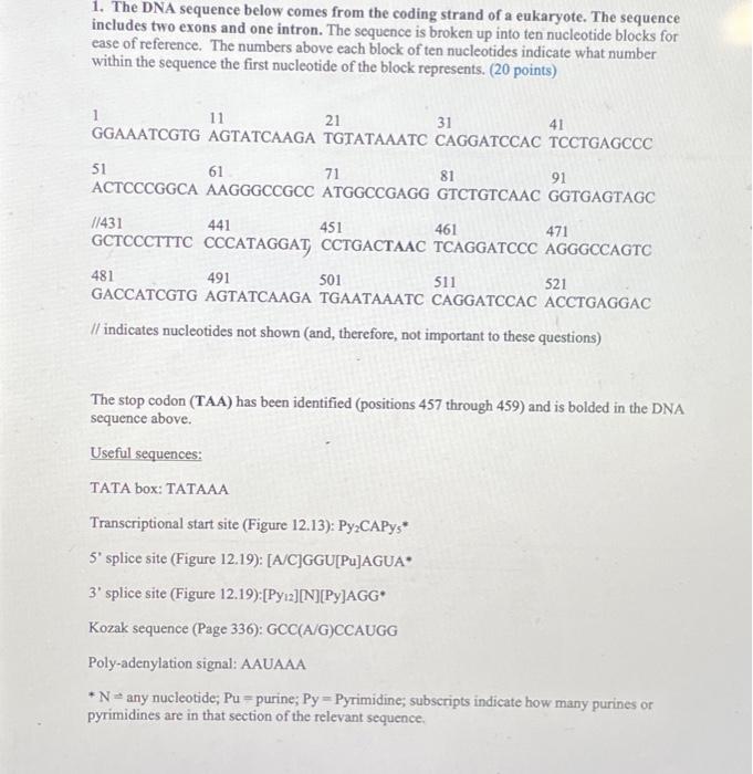 1. The DNA sequence below comes from the coding | Chegg.com