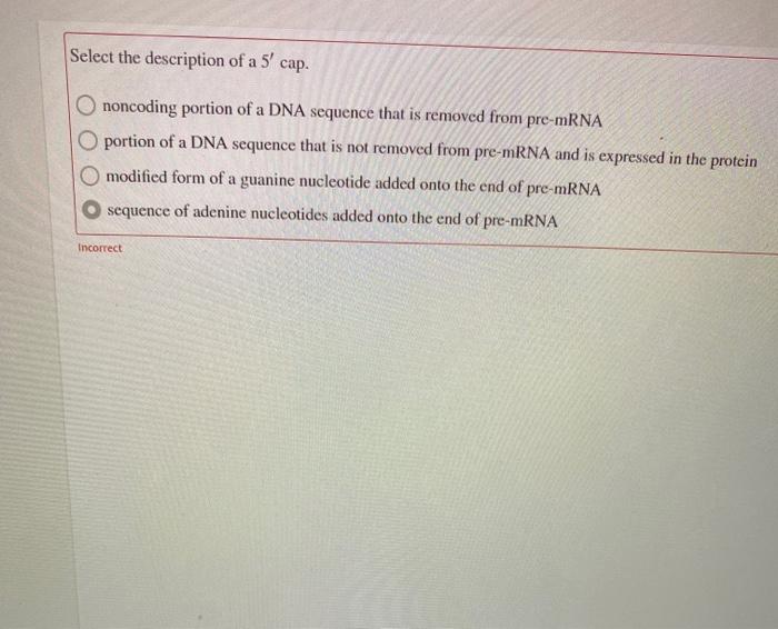 Solved Select the description of a 5' cap. noncoding portion | Chegg.com