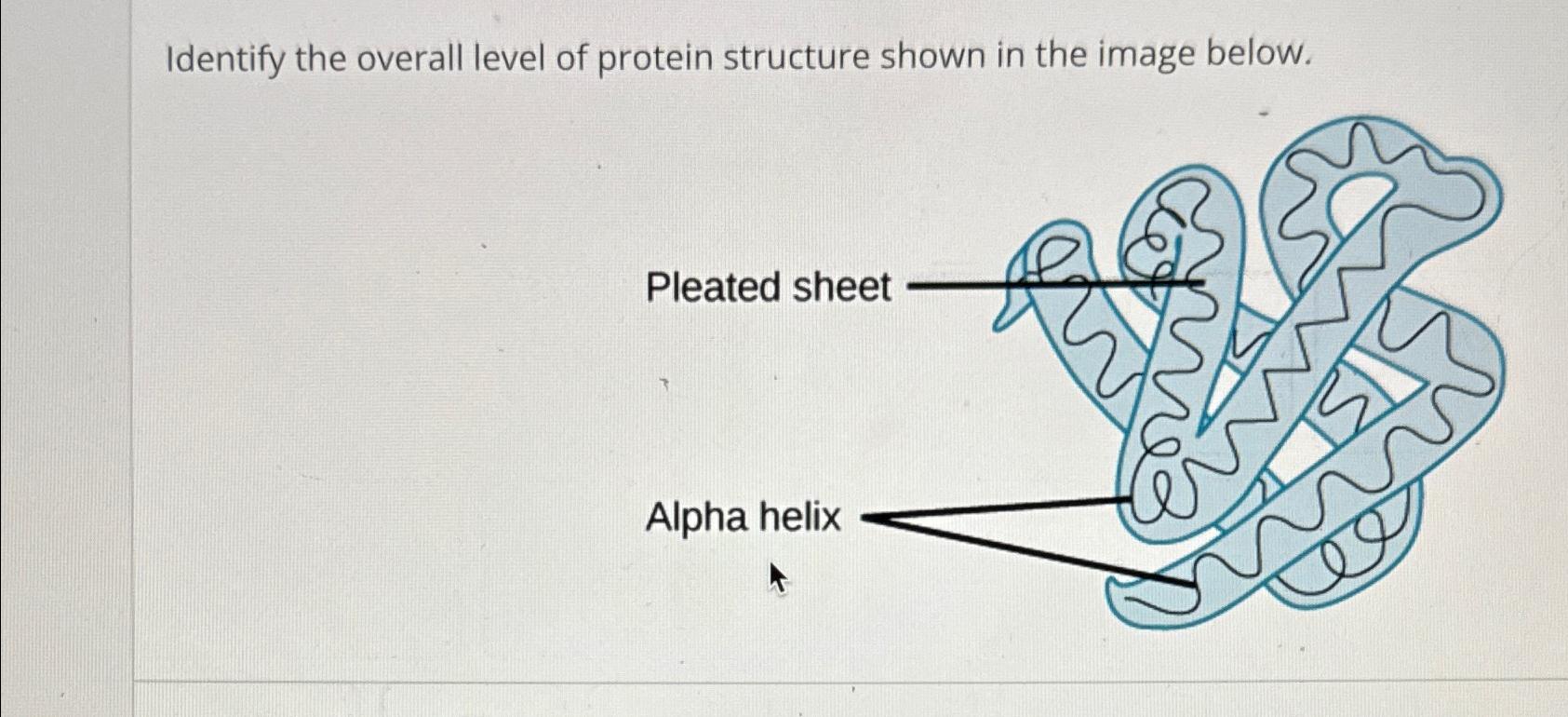 Solved Identify the overall level of protein structure shown | Chegg.com